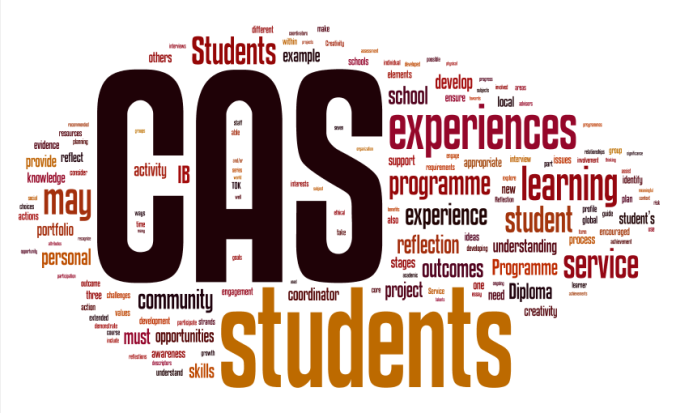 50 IB CAS Project Ideas & Examples | Lanterna Education